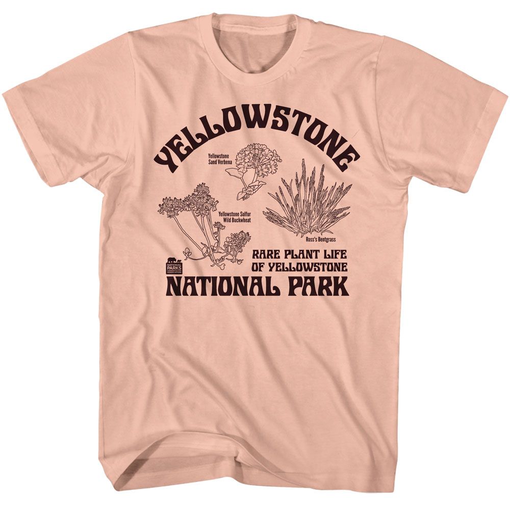National Parks - Rare Plants Yellowstone Boyfriend Tee – HYPER iCONiC.